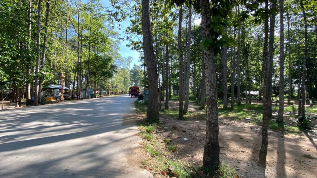 ព្រៃឈើទាលមុខវត្តជន្លង់ម្លូ ក្លាយជាកន្លែងទាក់ទាញពលរដ្ឋ អ្នកដំណើរ ឈប់ ...