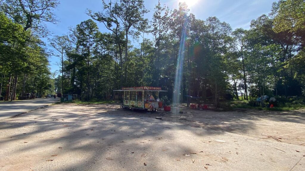 ព្រៃឈើទាលមុខវត្តជន្លង់ម្លូ ក្លាយជាកន្លែងទាក់ទាញពលរដ្ឋ អ្នកដំណើរ ឈប់ ...