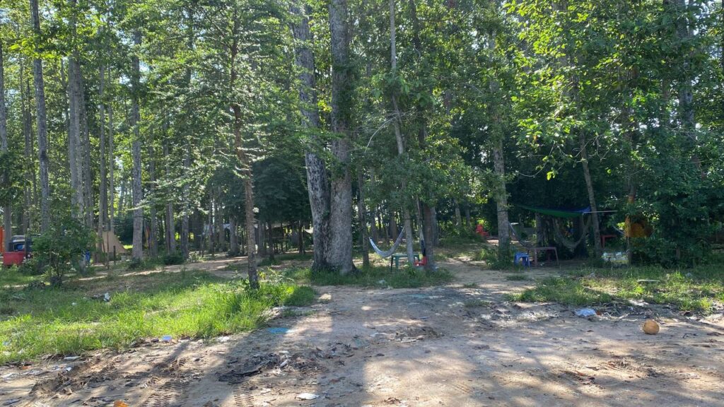 ព្រៃឈើទាលមុខវត្តជន្លង់ម្លូ ក្លាយជាកន្លែងទាក់ទាញពលរដ្ឋ អ្នកដំណើរ ឈប់ ...