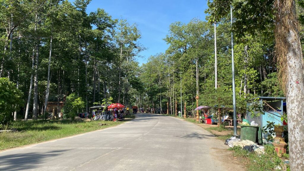 ព្រៃឈើទាលមុខវត្តជន្លង់ម្លូ ក្លាយជាកន្លែងទាក់ទាញពលរដ្ឋ អ្នកដំណើរ ឈប់ ...